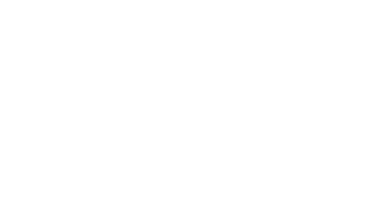 Phelps Brochure - Phelps Industries